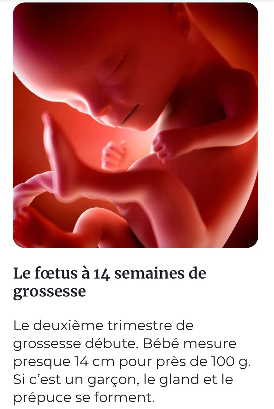 Allongement de la légalité de l’IVG de 12 à 14 semaines: un coup de ...